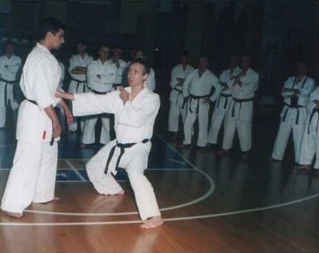 Técnicas – KARATE-DO SHOTOKAI DE SINTRA